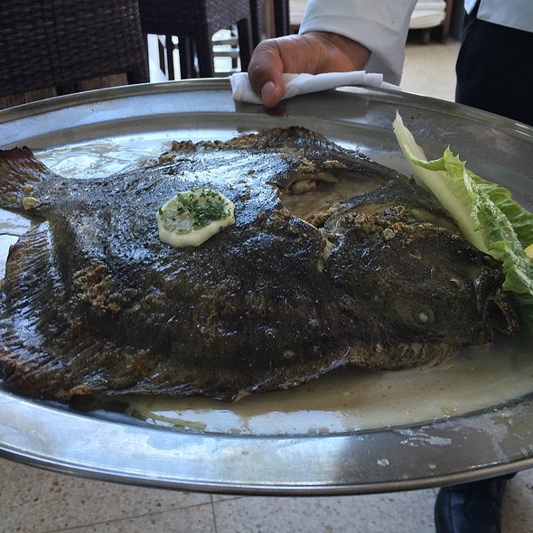 Il Gabbiano - Miami Restaurant - Miami, FL | OpenTable